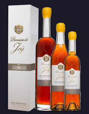 domaine-joy-bas-armagnacs-2023b | Domaine Joy