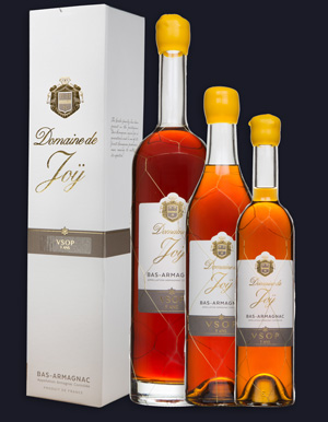 domaine-joy-bas-armagnacs-vsop-2023 | Domaine Joy